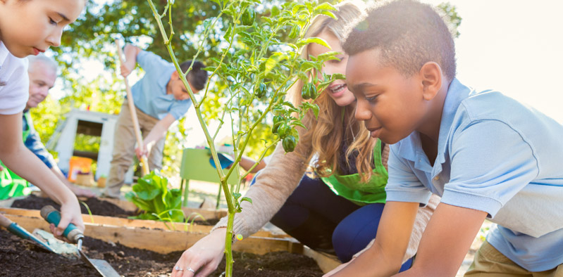 Home - Wallace Lake K-8 PTSO